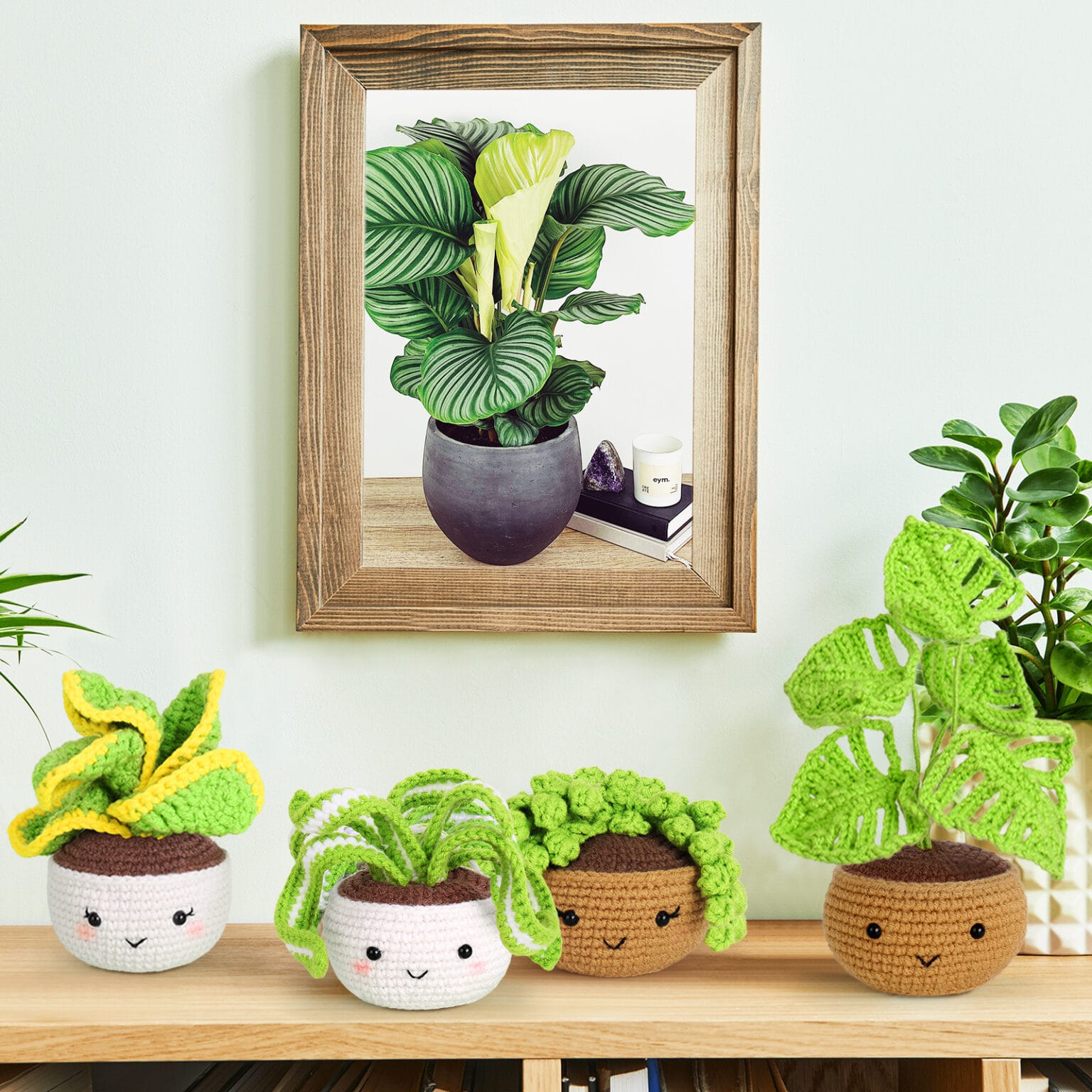 Crochet House Plants Family - crochettas.com